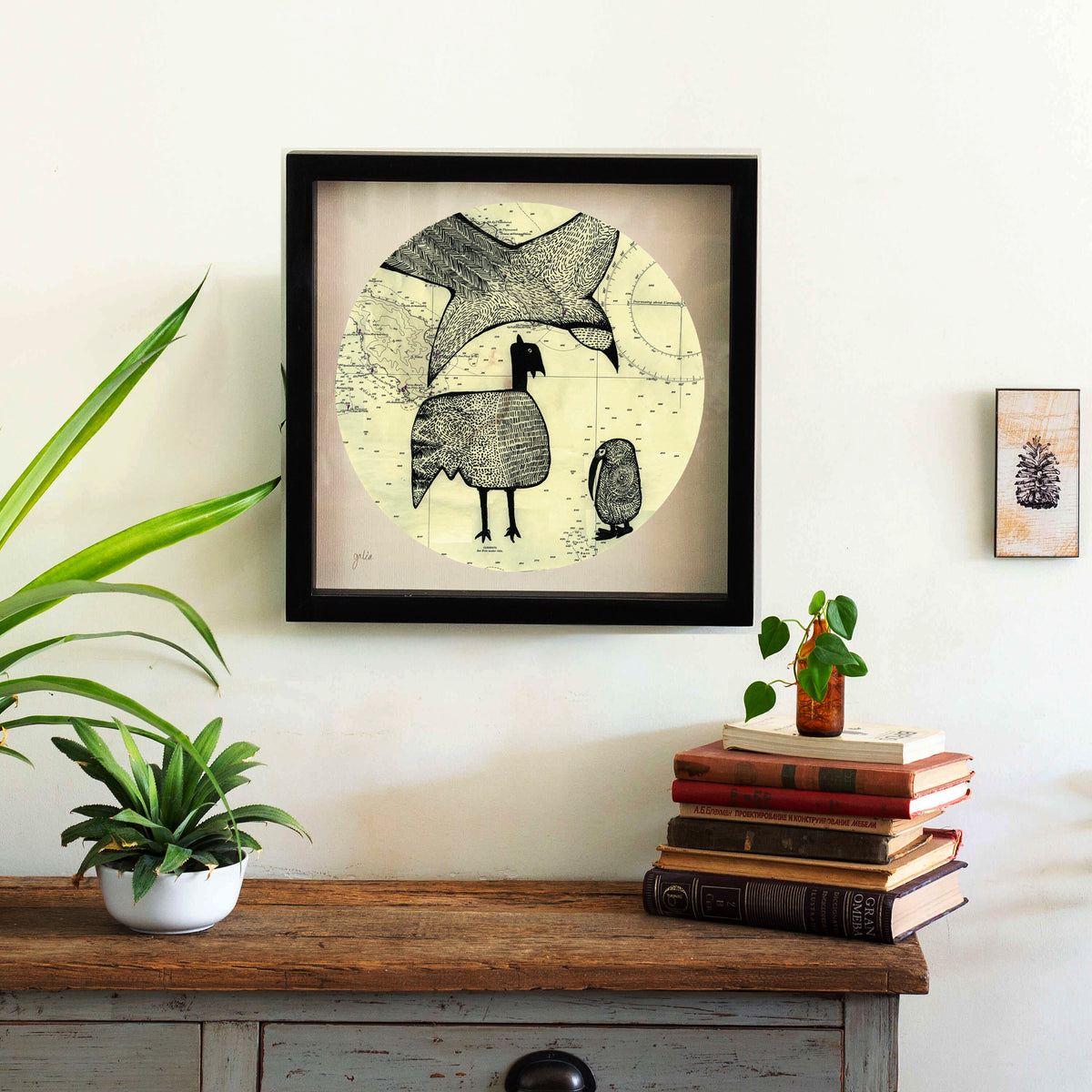 ציורים – Kwala